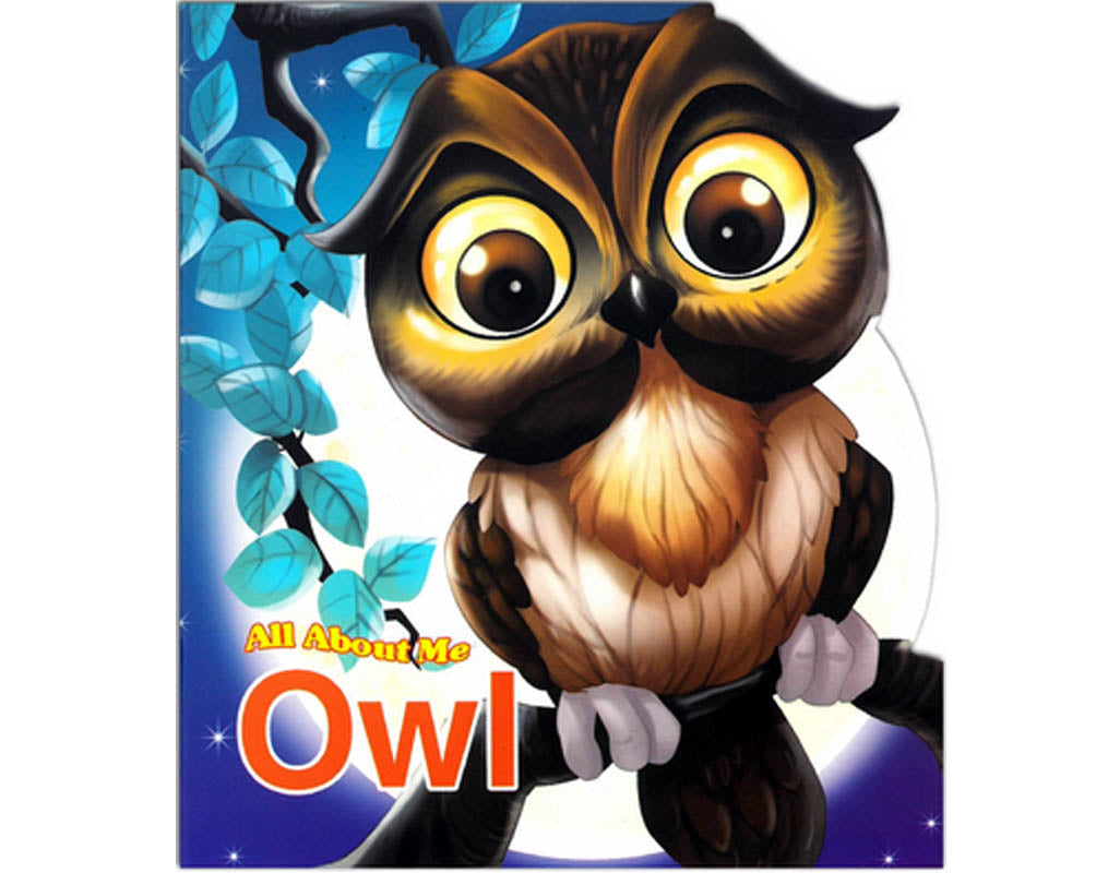 All About Me Owl - An Informative Book for Kids – Kids Care