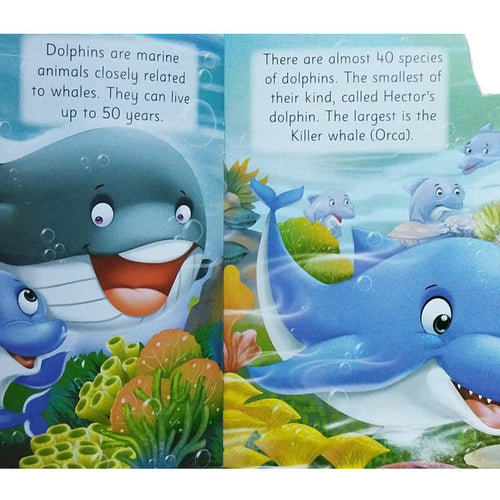 All About Me Dolphin - An Informative Book for Kids – Kids Care