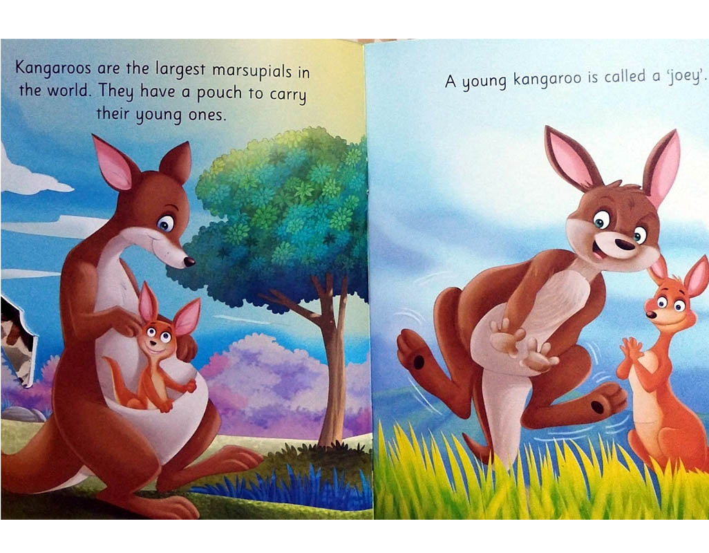 All About Me Kangaroo - An Informative Book for Kids – Kids Care